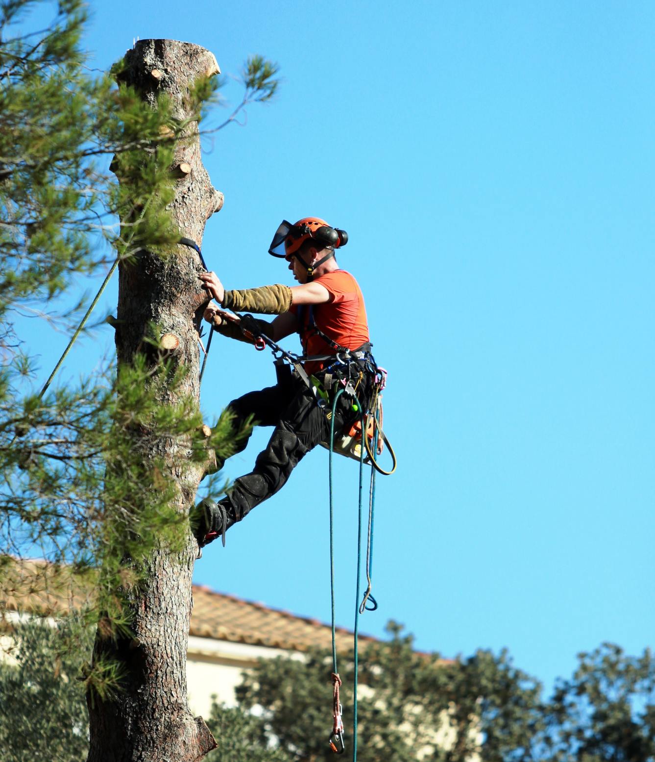 Sprinkler World | Sprinkler World - Arborists & Landscaping Information